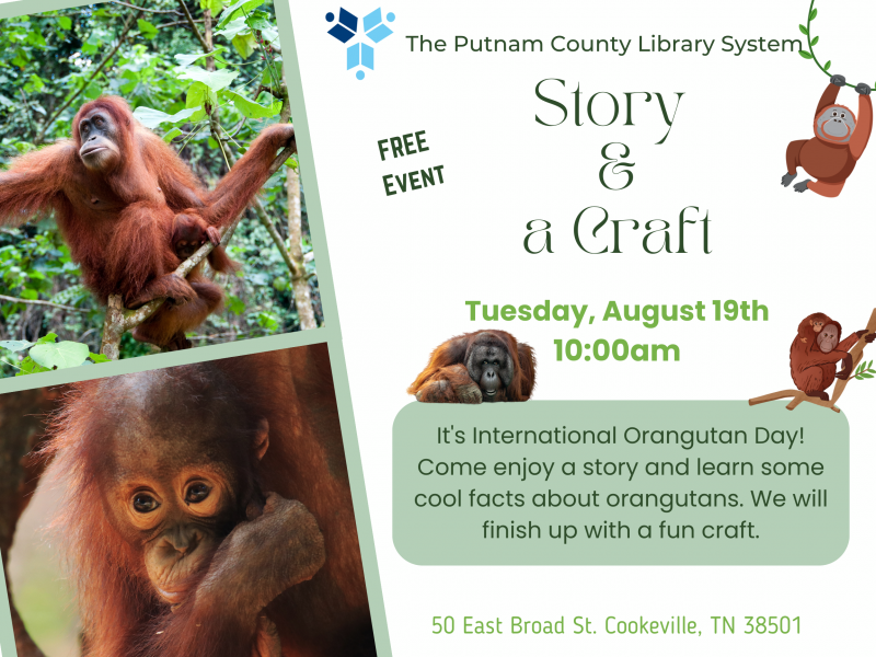 Story & a Craft: Orangutan Day! – Tue, Aug 19, 2025 12:00am – 12:00pm ...